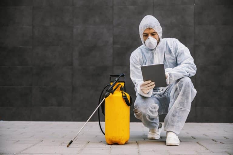 How Pest Control Business Software Can Streamline Operations - Praxedo